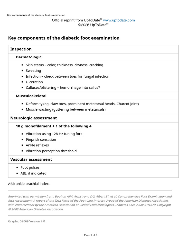 Diabetic Foot Examination Essentials | PDF