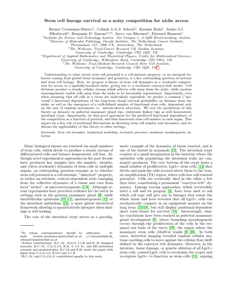 Stem Cell Lineage Survival As A Noisy Competition For Niche Access ...