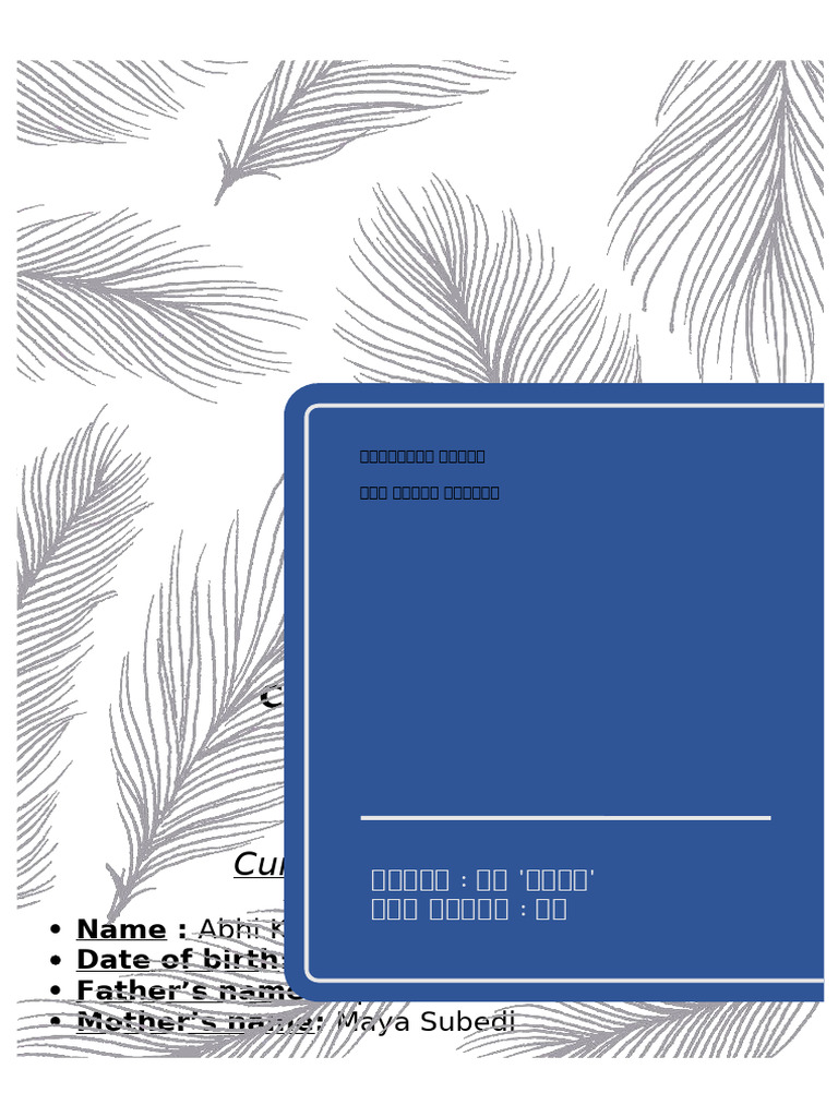 Nepali Project | PDF