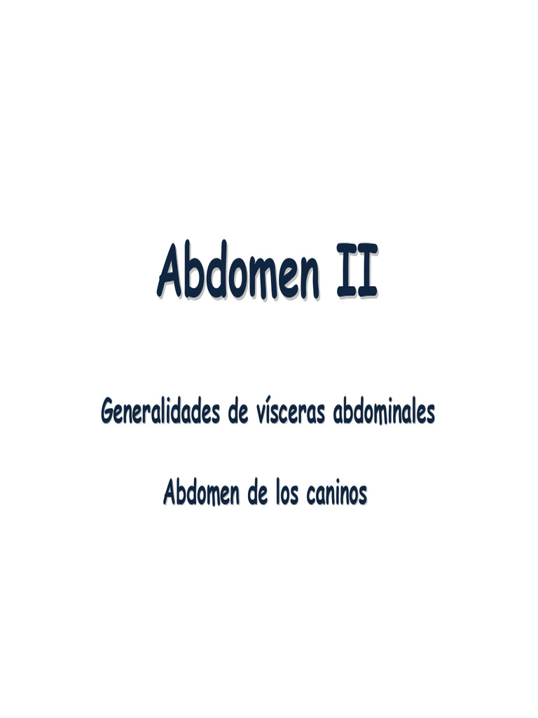 Anatomía del Abdomen Canino y Vísceras | PDF