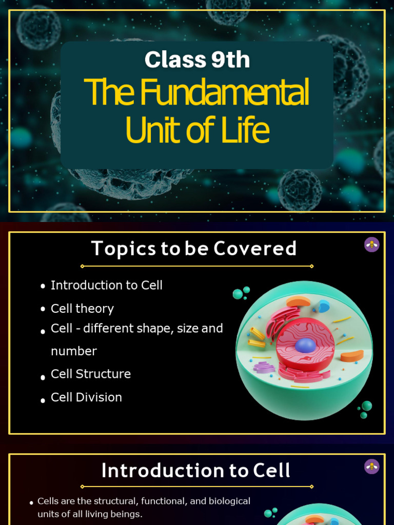 Understanding Cell Structure and Function | PDF | Cell (Biology ...