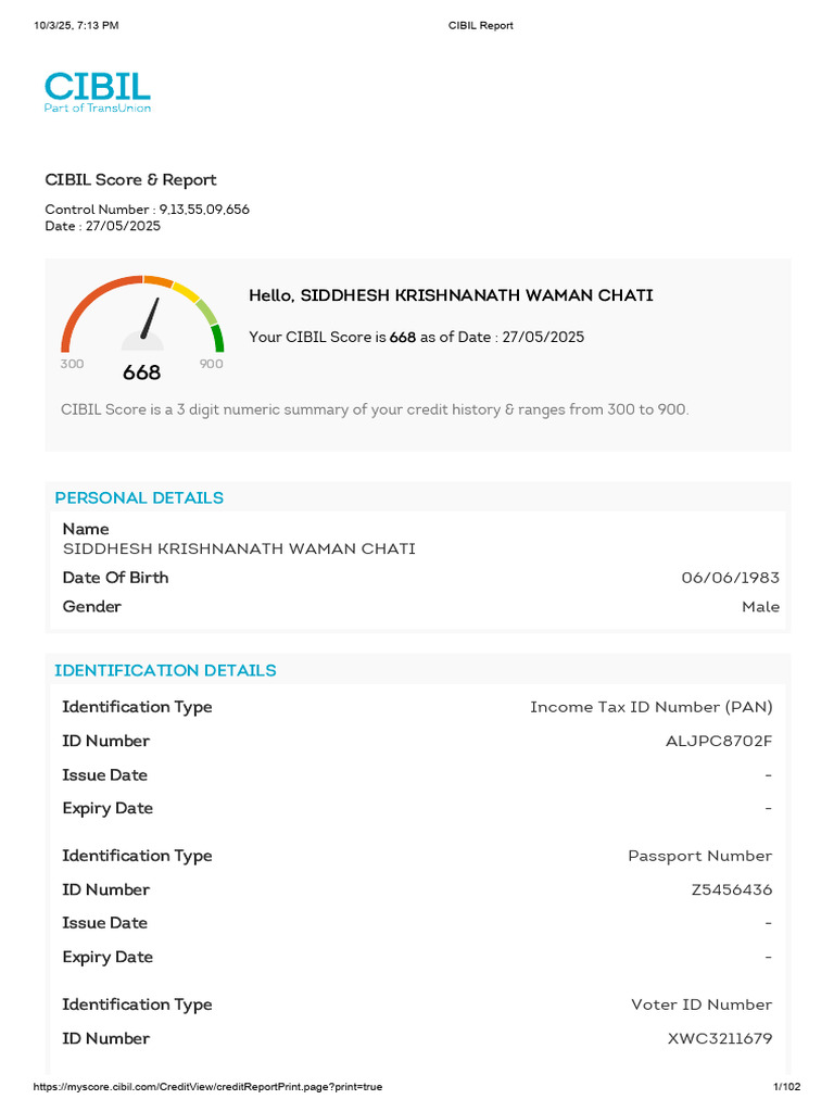 CIBIL Score Report for Siddhesh Chati | PDF | Credit | Finance & Money ...