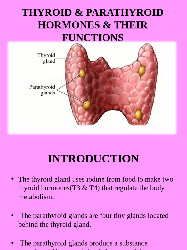 Thyroid and Parathyroid Hormones Overview | PDF | Thyroid | Bone