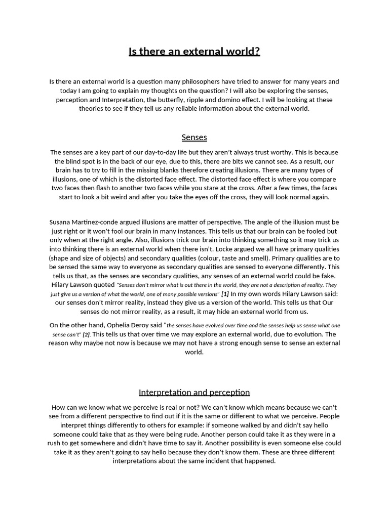 Exploring the Existence of an External World | PDF | Reality | Senses