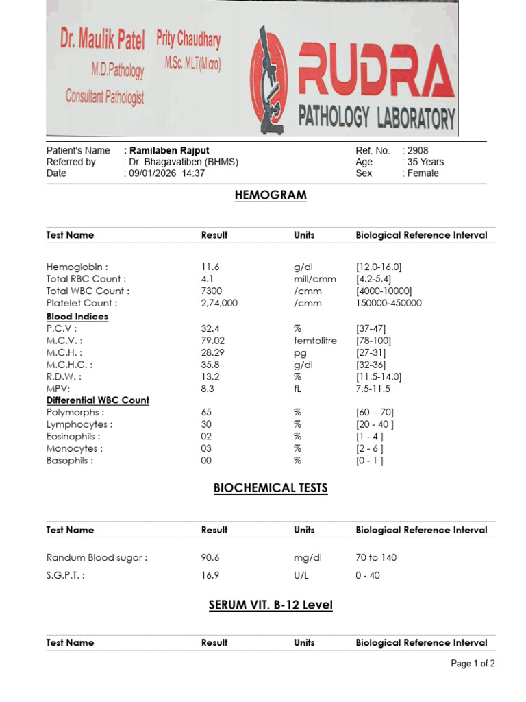 Hemogram and Biochemical Test Results | PDF