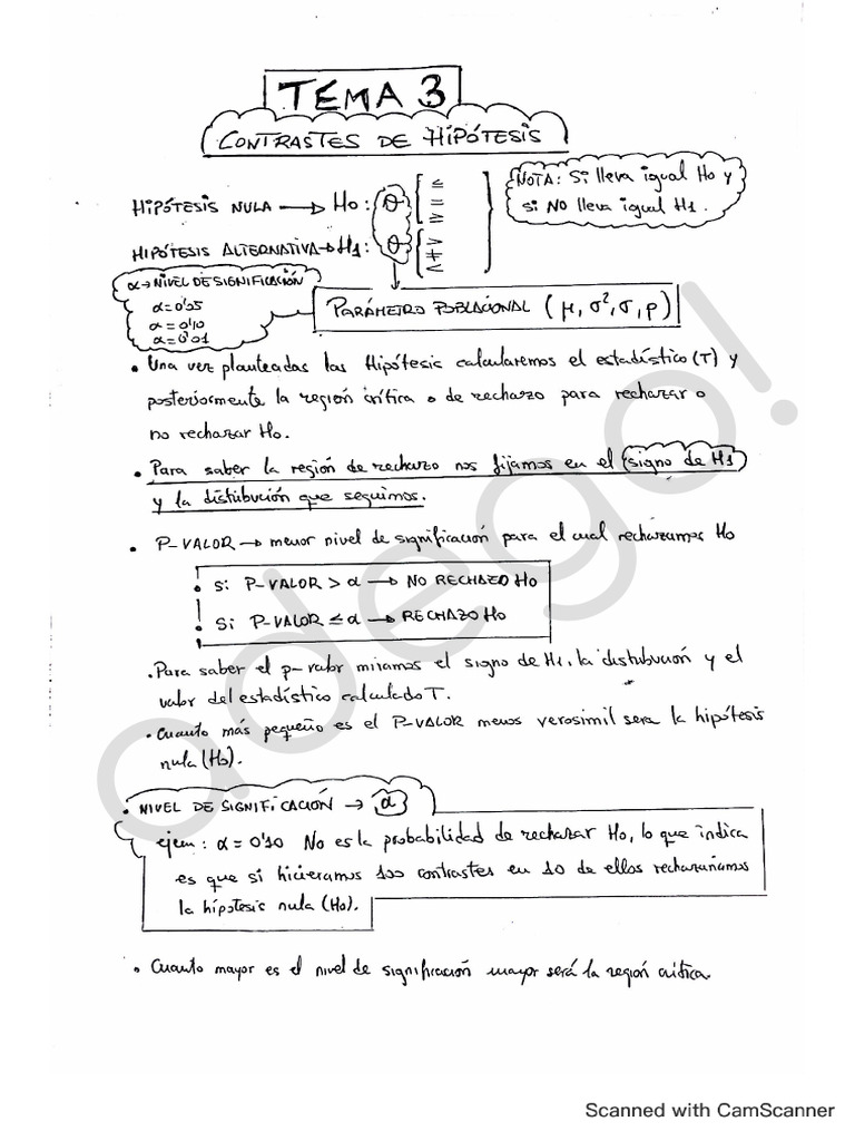 Resumen Tema 3 | PDF