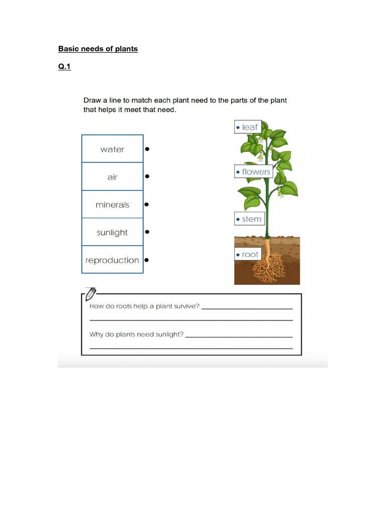 Basic Needs of PlantS+Animals | PDF