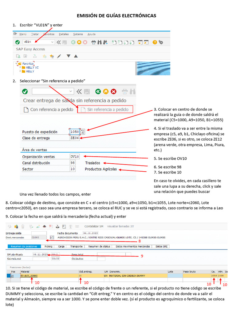 Inst-Alm 003.Emision de GRE-sap | PDF