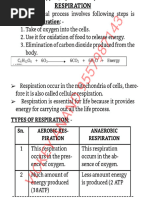 Phe Chapter 7 Fundamental of Anatomy and Physiology in Sports | PDF