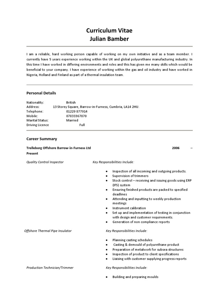 Curriculum Vitae Julian Bamber: Personal Details | PDF | Engineering | Economic Sectors