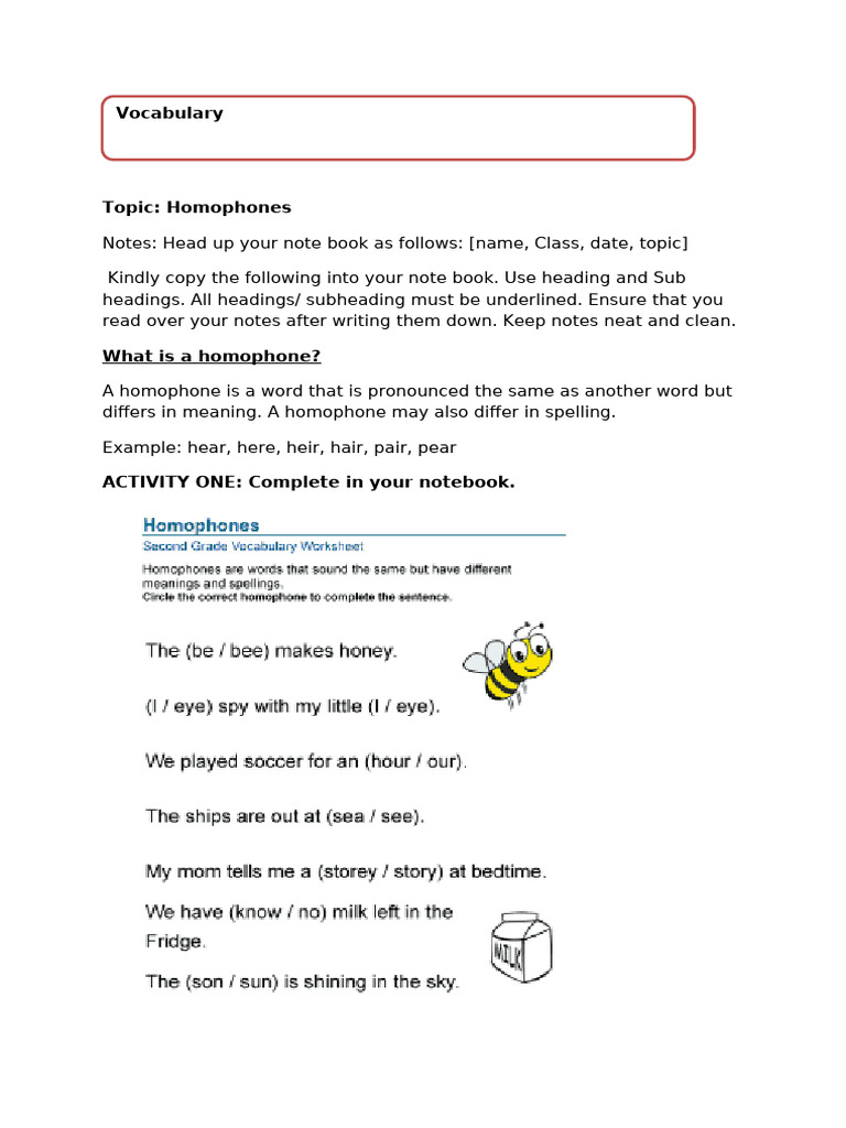 Understanding Homophones and Graphic Organizers | PDF