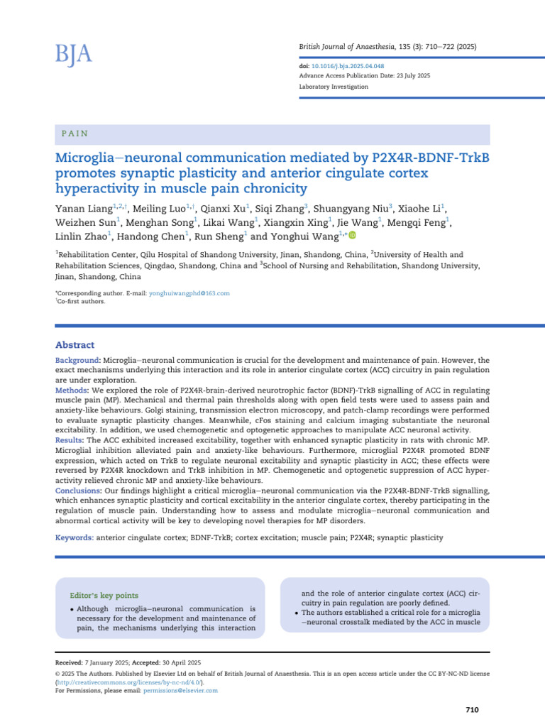 Microglia–Neuronal Communication Mediated by P2X4R | PDF | Synapse ...