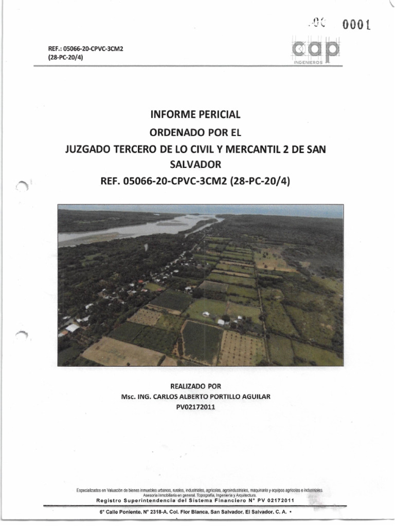 Informe Pericial | PDF