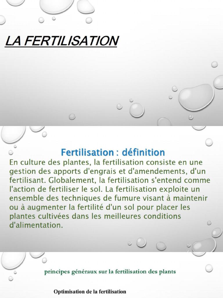 La Fertilisation | PDF