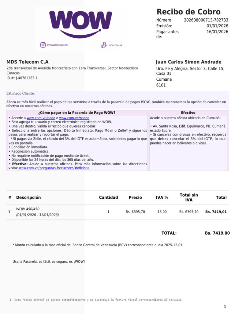 invoice_202608000713 | PDF | Industrias de servicio