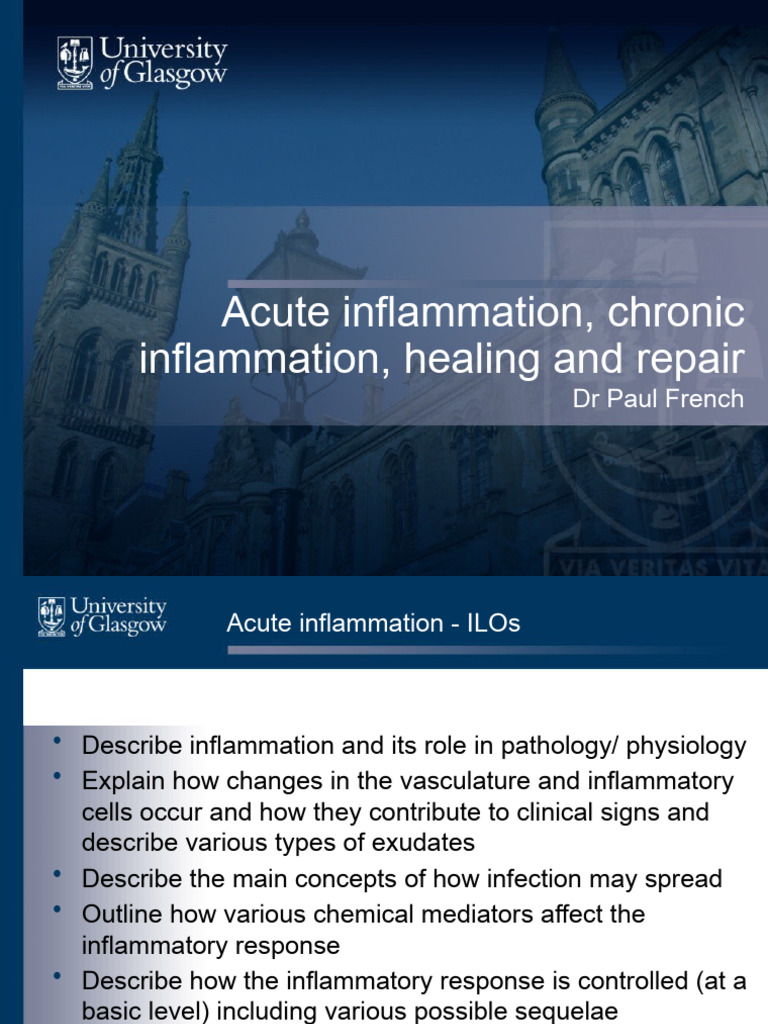 Acute Inflammation Chronic Inflammation Healing and Repair Paul French ...