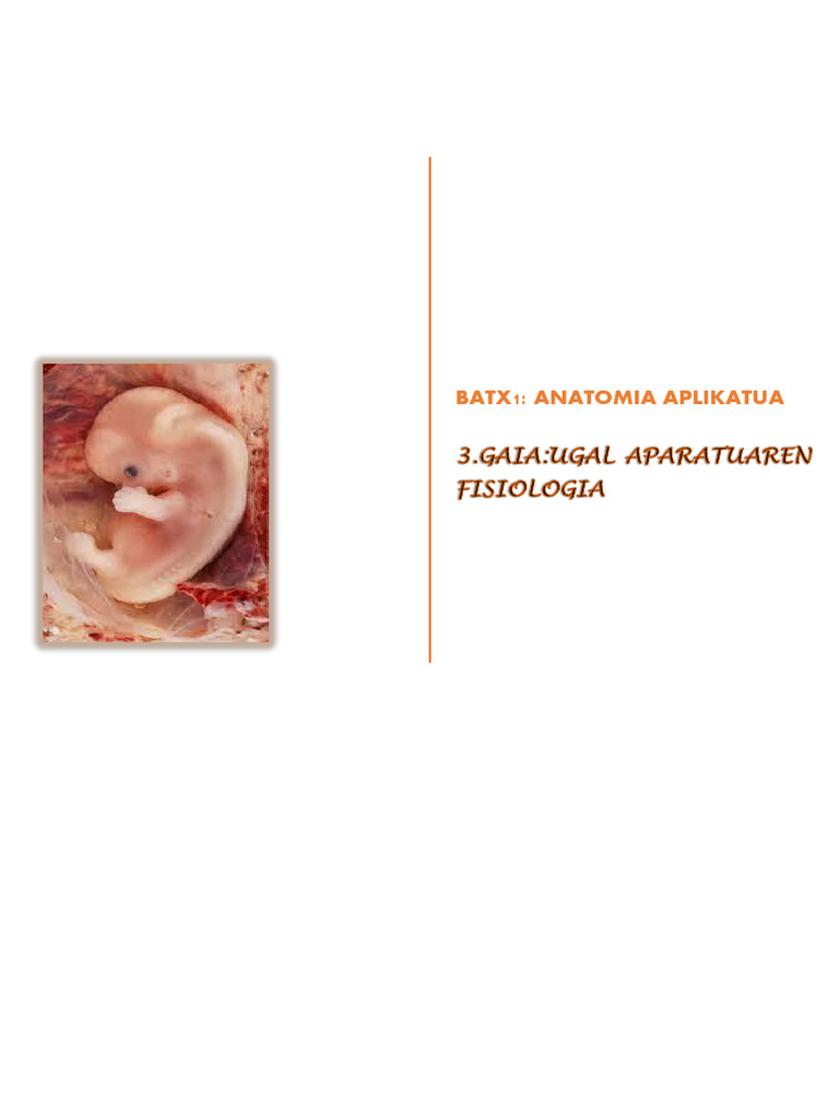 3. Gaia Ugal Aparatuaren Fisiologia | PDF
