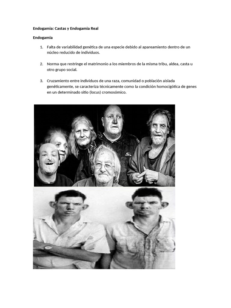 Endogamia- Parte 4 | PDF