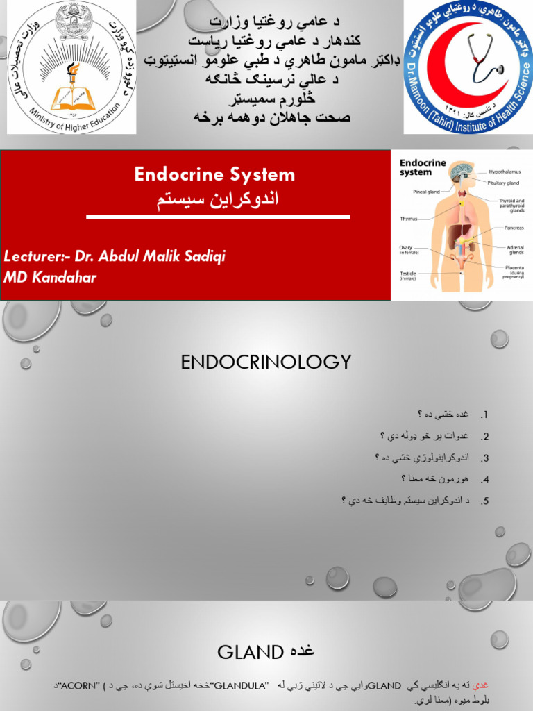 First Lecture of Endocrine(0) | PDF