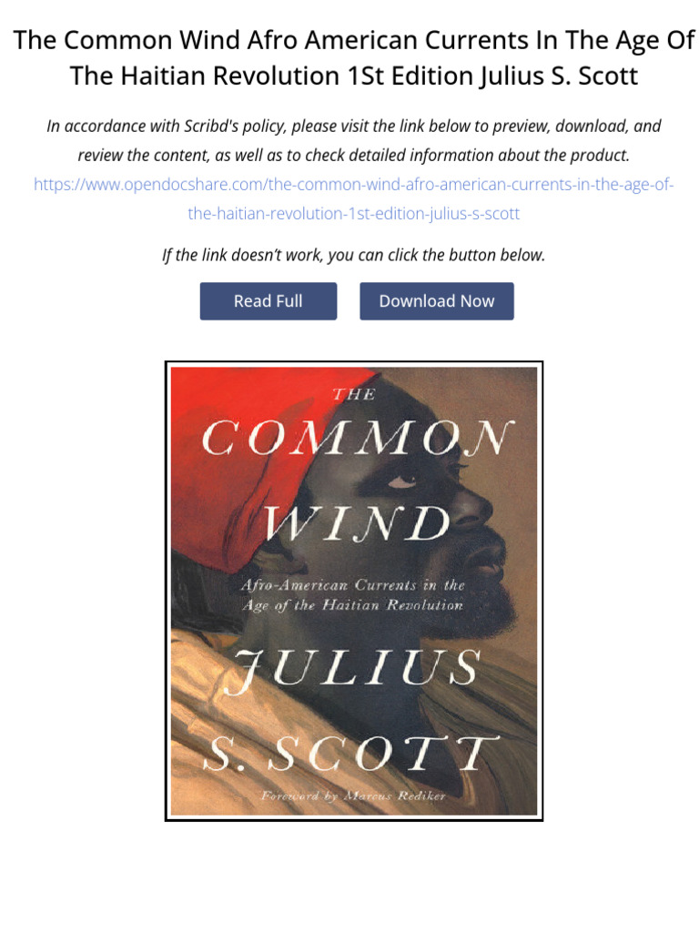 The common wind Afro American currents in the age of the Haitian ...