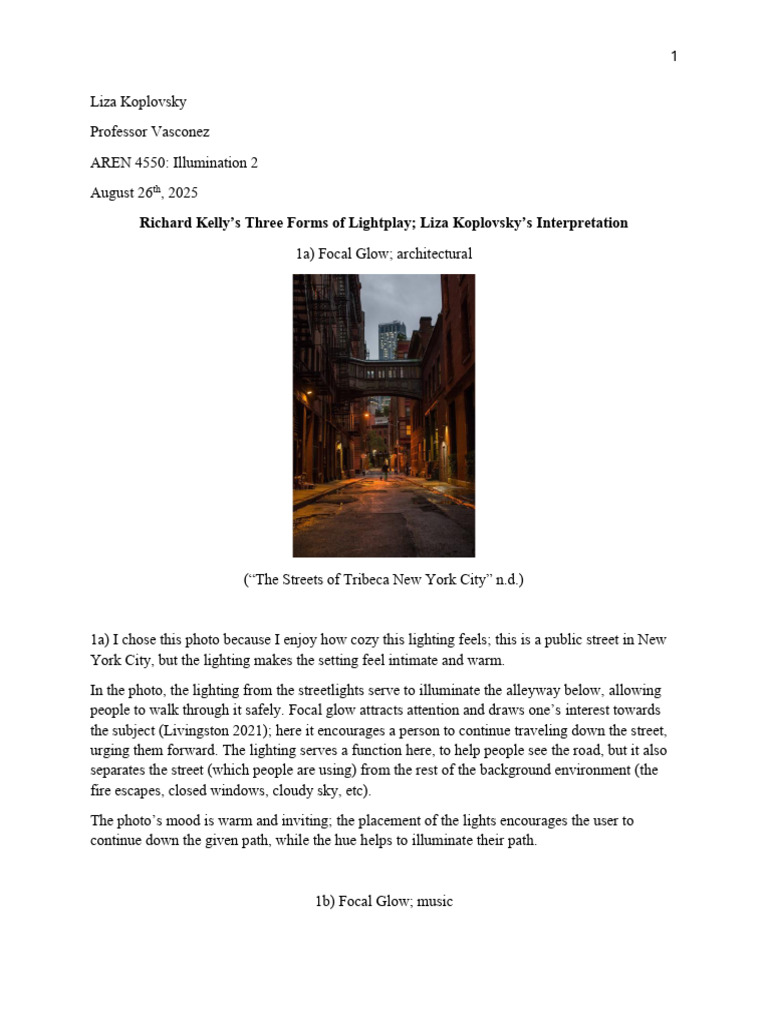 A1_LizaKoplovsky | PDF | Light