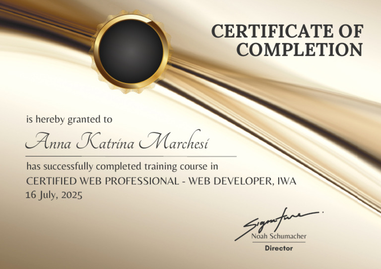 Web Developer Certificate - Noah Schumacher | PDF