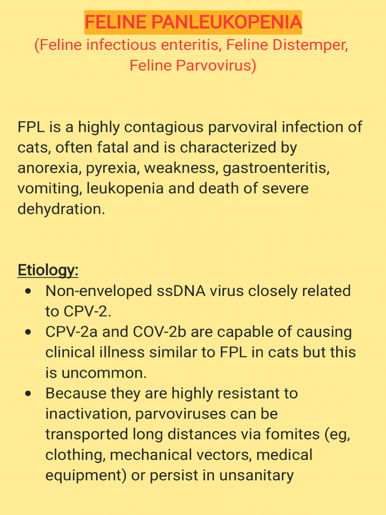 Feline Panleukopenia (FPL) 250930 223304 | PDF