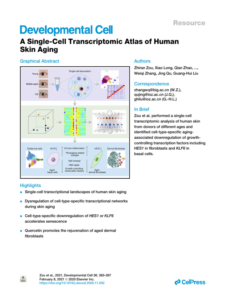 A Single-Cell Transcriptomic Atlas of Human Skin Aging | PDF ...