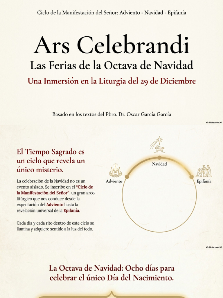 29 DE DICIEMBRE - INFOGRAFIA | PDF