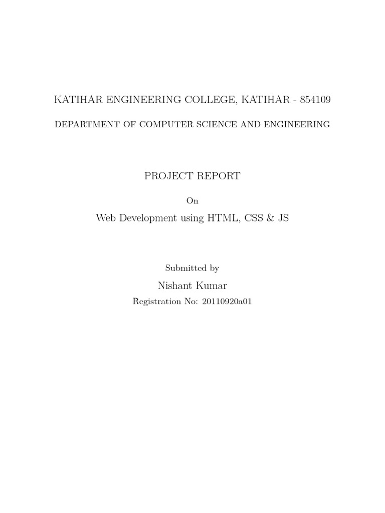 Web Development Project Report | PDF | Digital Marketing | Graphic Design