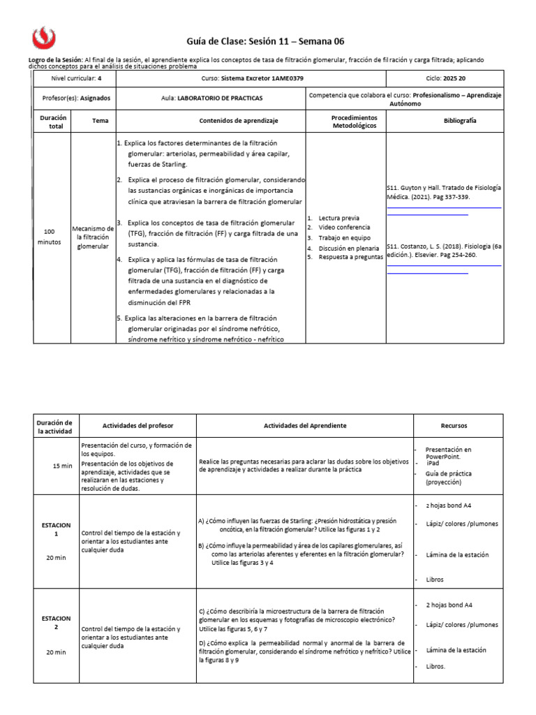 2025 20 Sesión 11 Guía de Clase | PDF