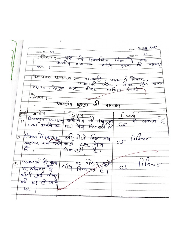 Class 12 Chemistry Practicals | PDF