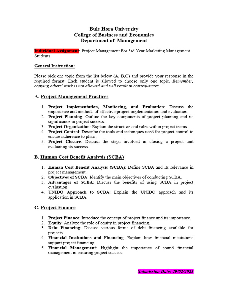 Project Management Assignment Guide | PDF