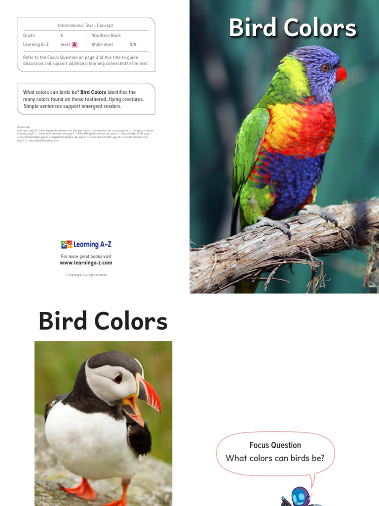 Bird Colors: A Visual Guide for Kids | PDF