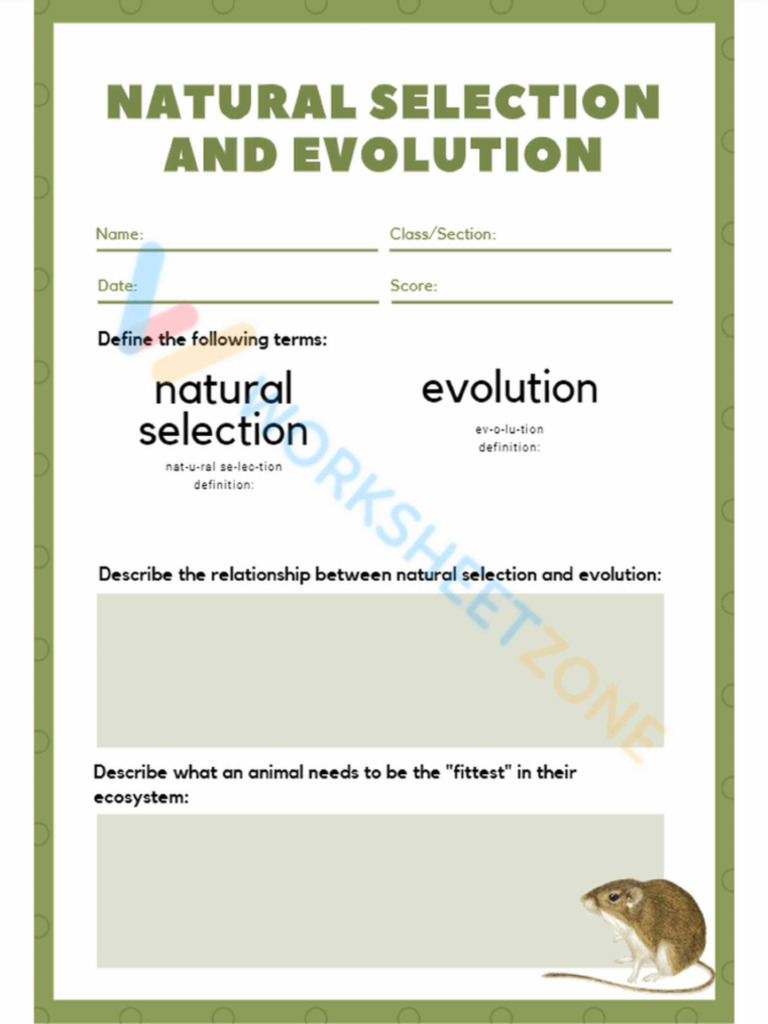 The Mechanism of Natural Selection | PDF