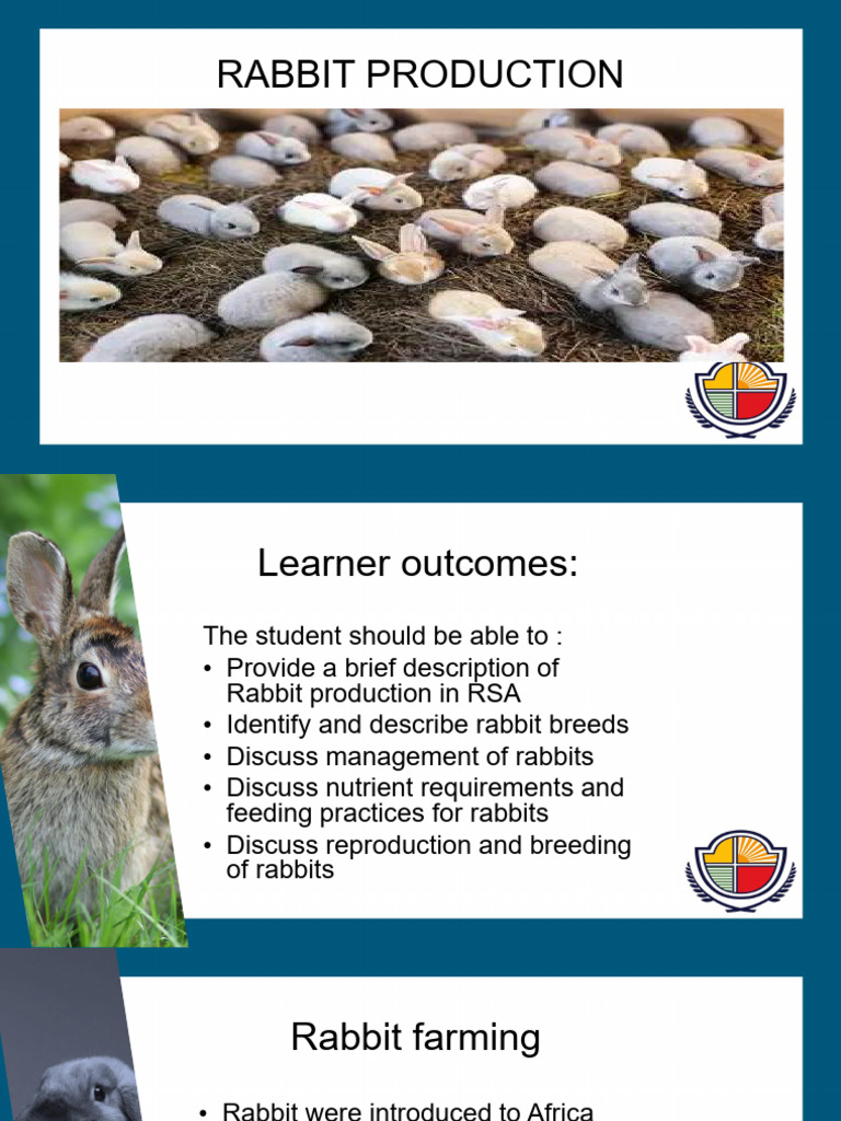 Rabbit Production and Management Guide | PDF | Rabbit | Pregnancy