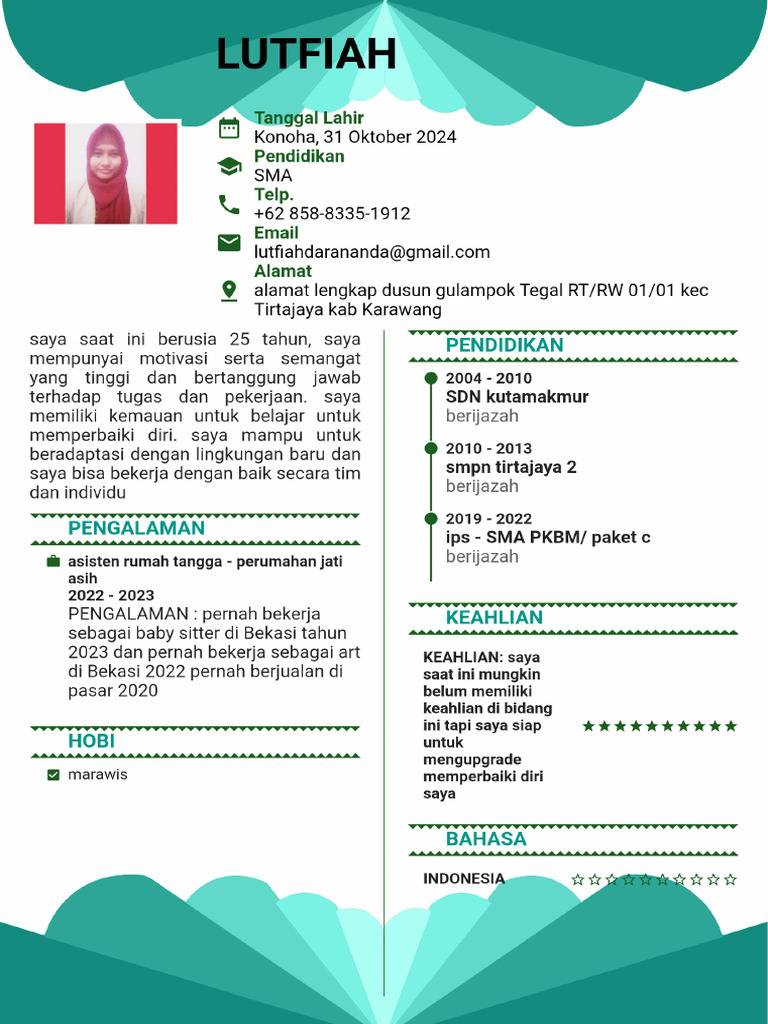 CV Lutfiah | PDF