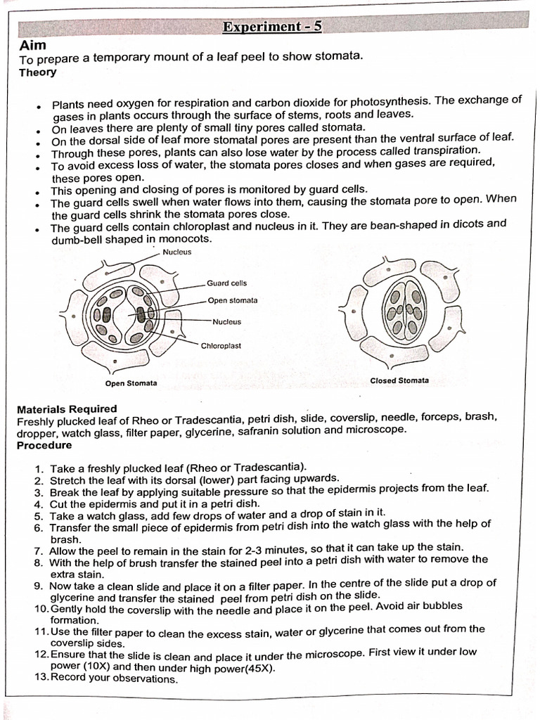 Biology Practical, X | PDF