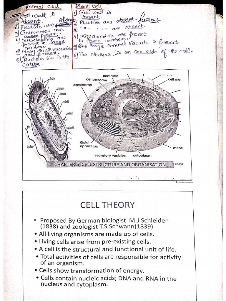 Chapter 5 Cell Structure and Organisation | PDF