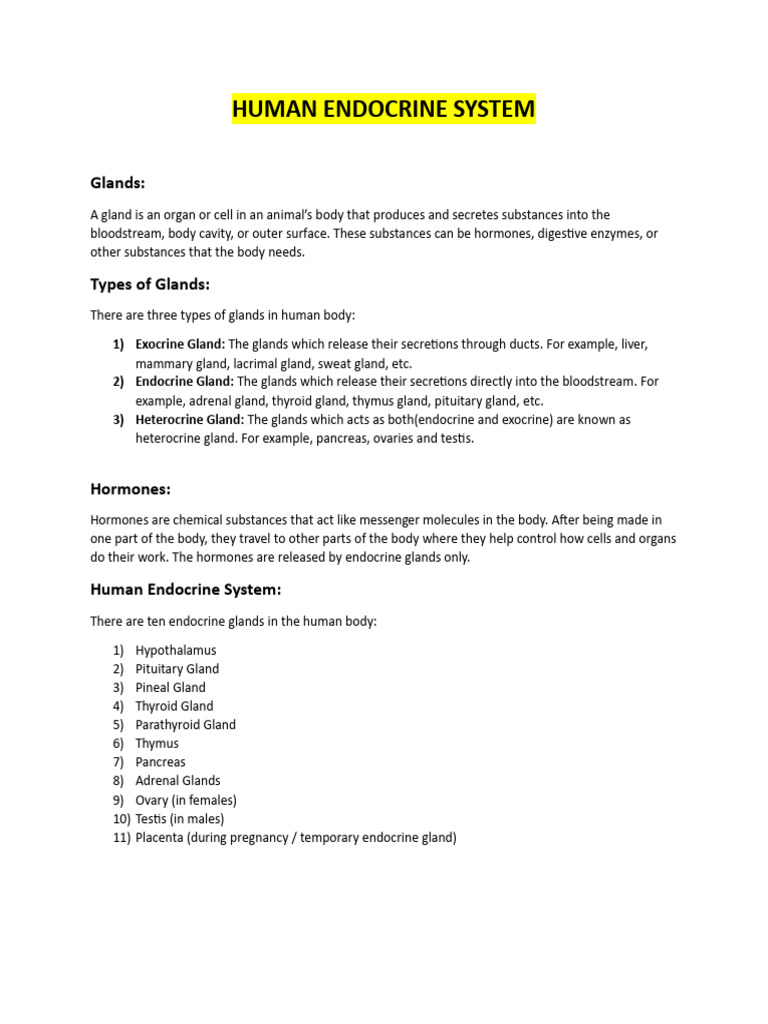 BIOLOGY Human Endocrine System | PDF | Endocrine System | Adrenal Gland