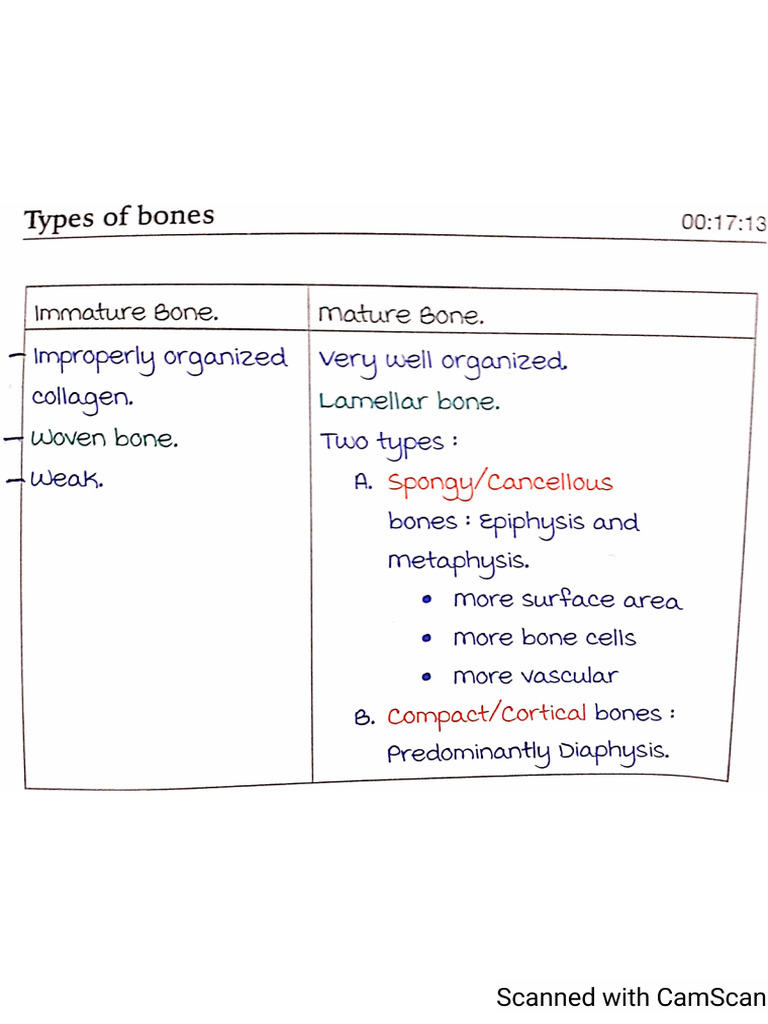 Bhavya Patel Ortho | PDF