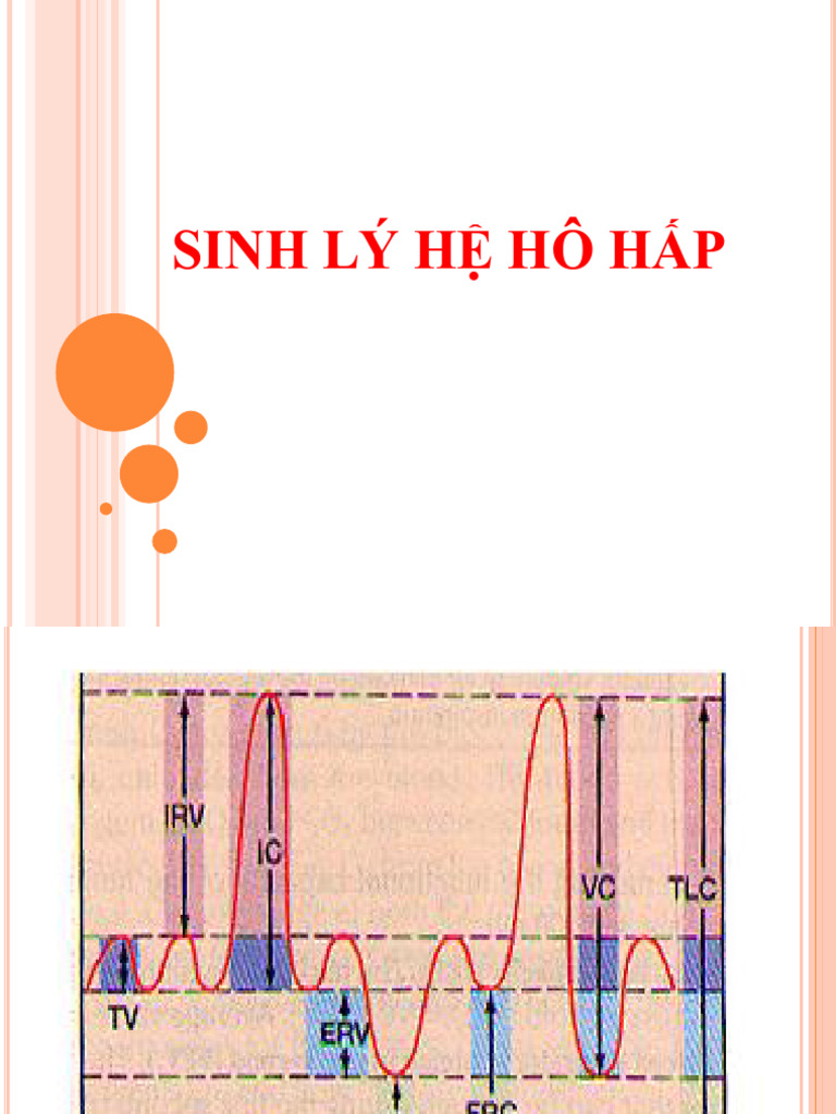 sl ho hap yk10 | PDF