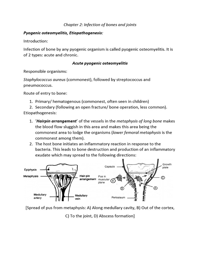 Bone Infections Osteomyelitis | PDF | Hip | Joint