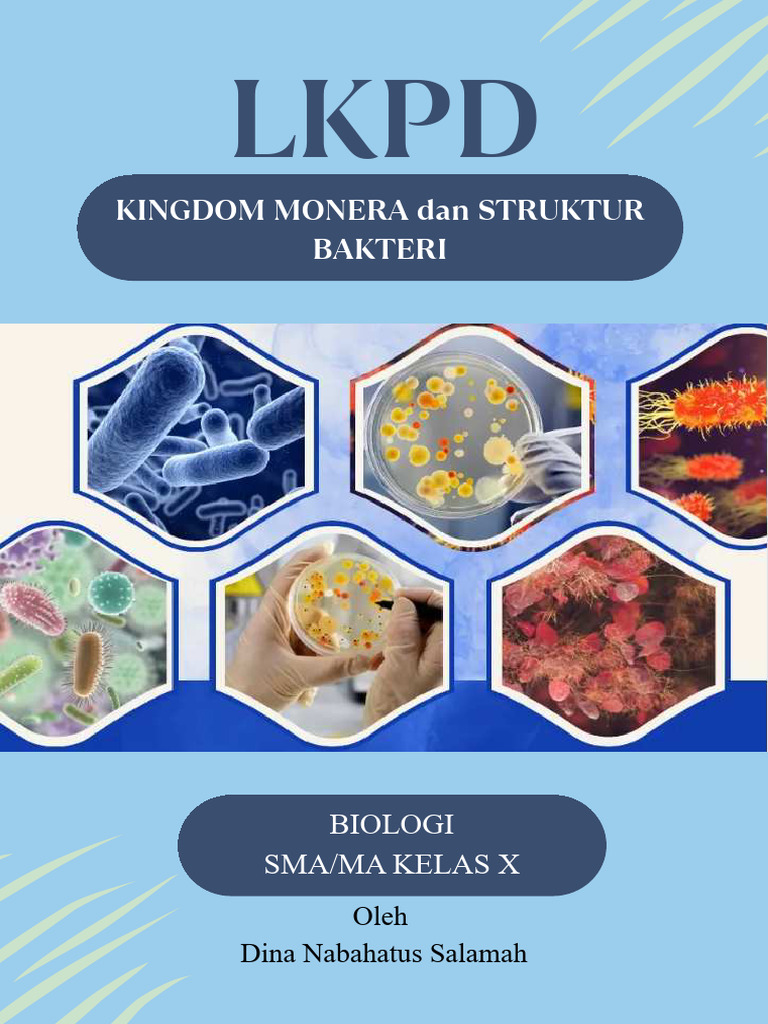 Struktur dan Ciri Bakteri dalam Kingdom Monera | PDF