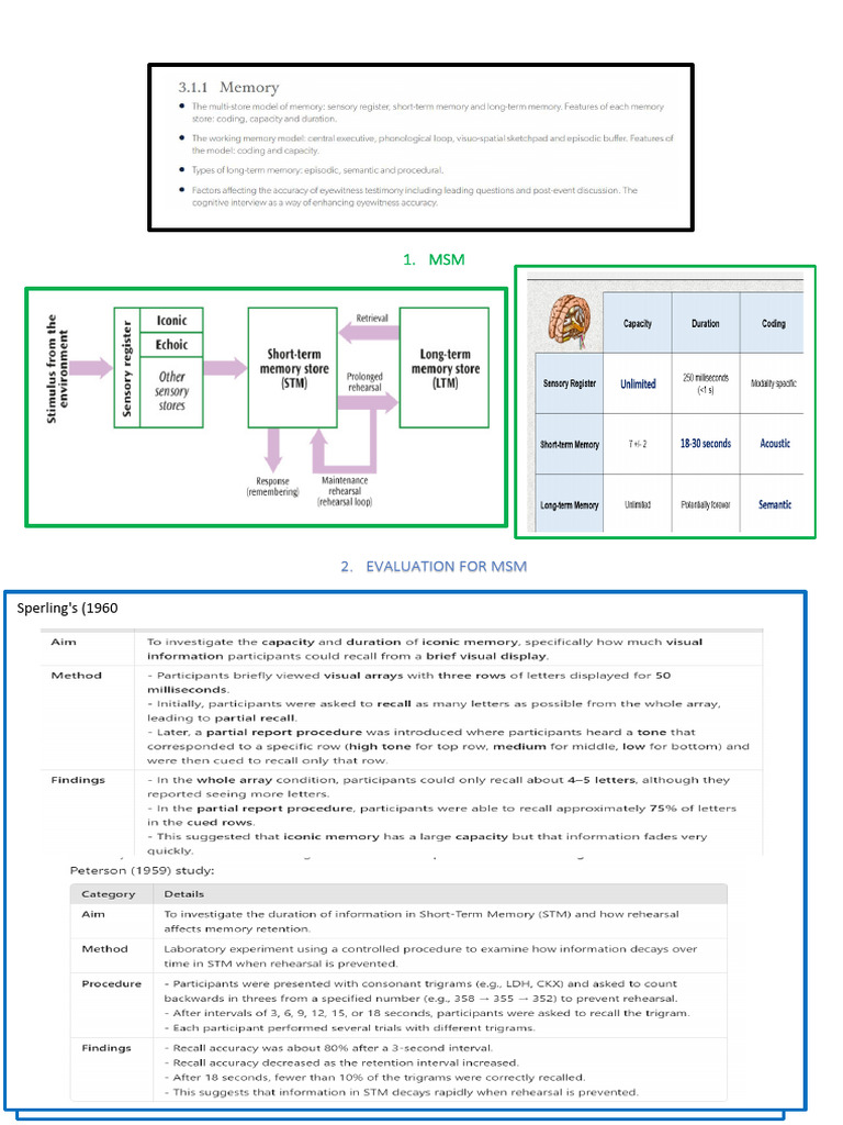 Final Paper 1 Revision Notes | PDF | Conformity | Memory