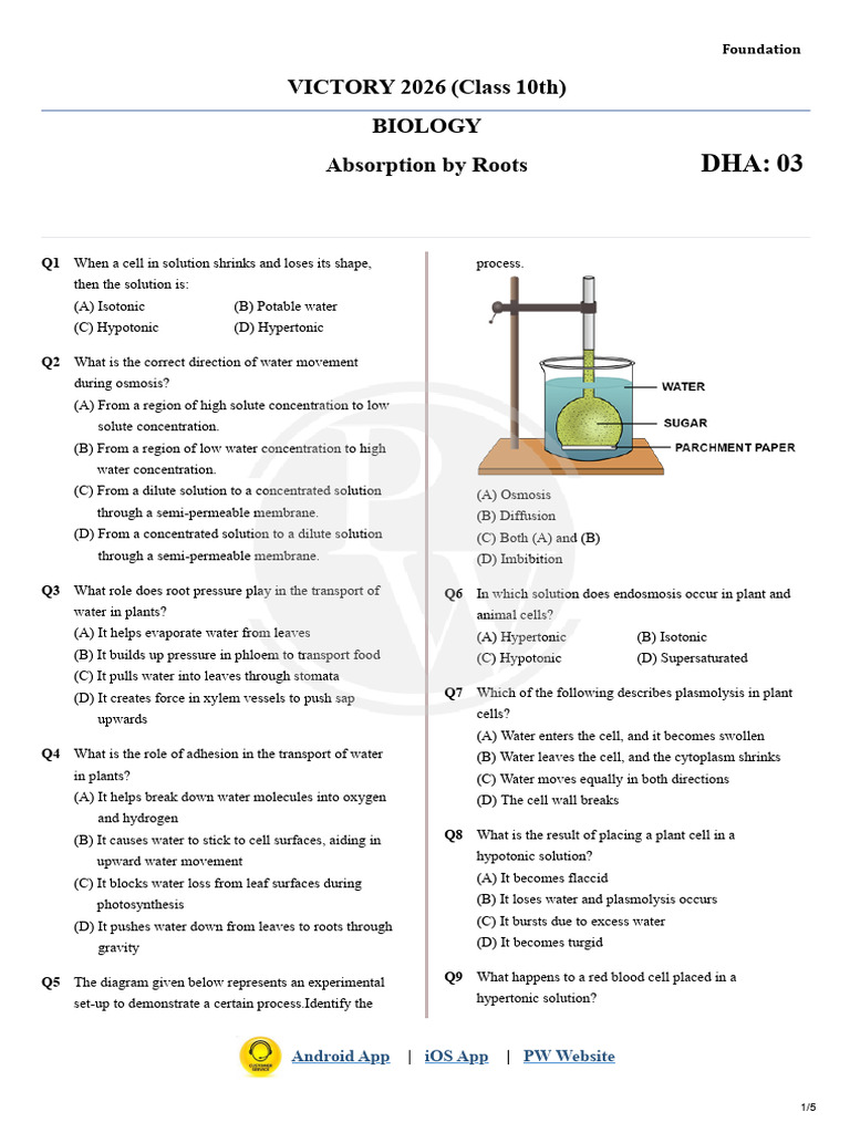 Biology-Absorption by Roots-DHA 03 | PDF | Osmosis | Botany