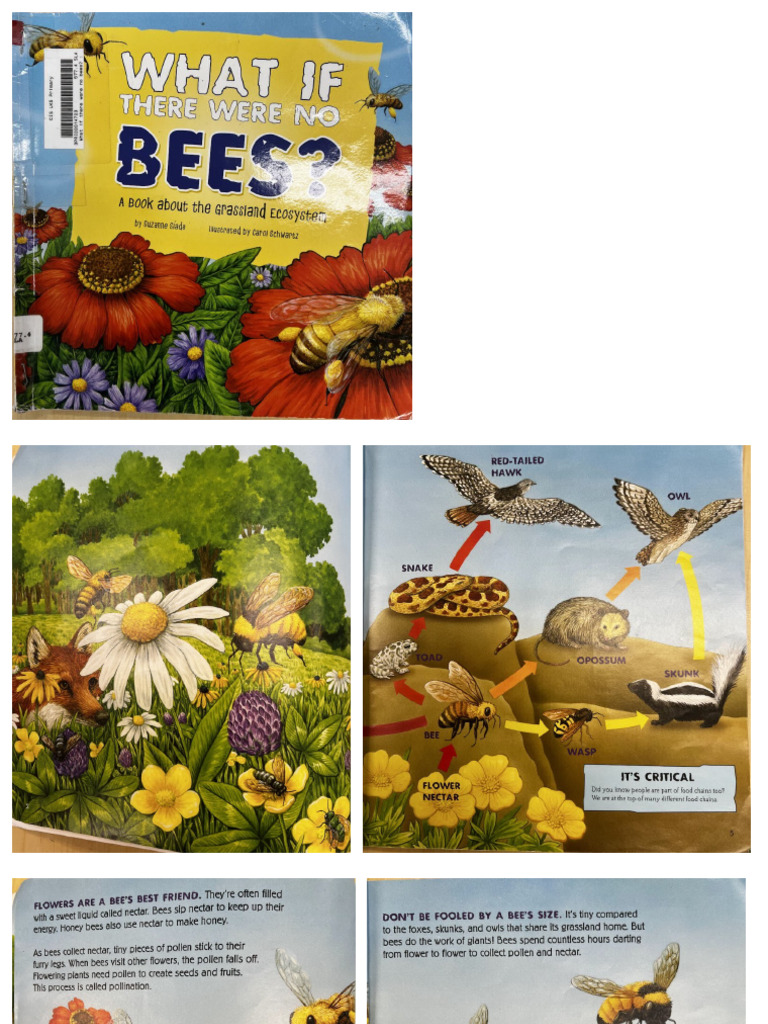 What If There Were No Bees | PDF