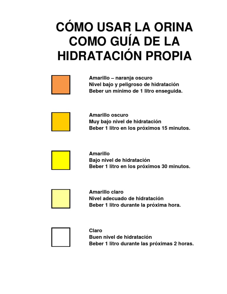 Hydration Chart Spanish | PDF