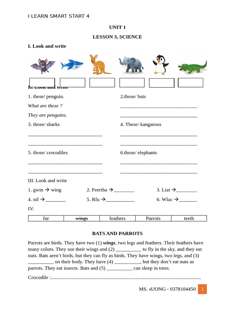 UNIT 1 - ANIMALS - LESSON 3, SCIENCE | PDF | Birds | Zoology