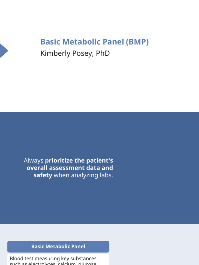 Understanding Basic Metabolic Panel Results | PDF | Vitamin D | Medical ...